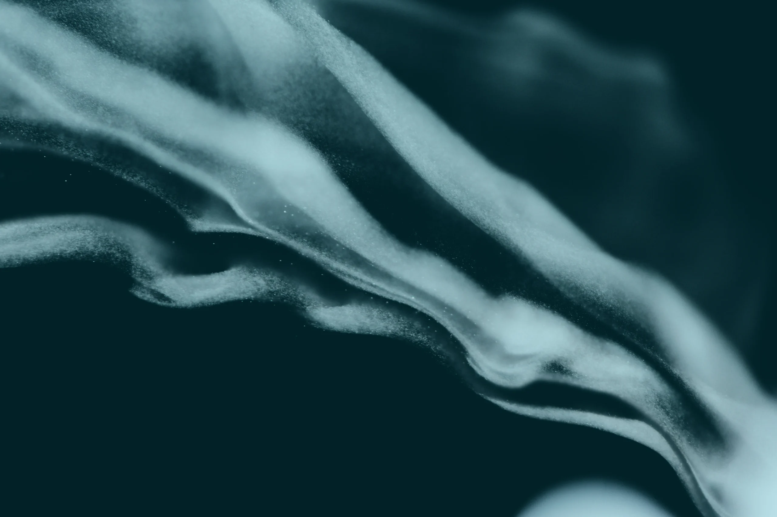 TORTUS | Medical AI Healthcare Assistant | Doctor Approved